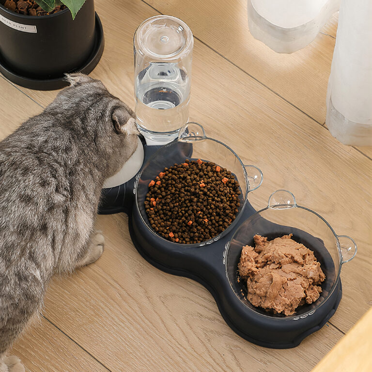 Bộ Bát ăn Uống Cho Chó Mèo PAW The Meow Head 3in1 Bowl | Pet Mart Cửa ...