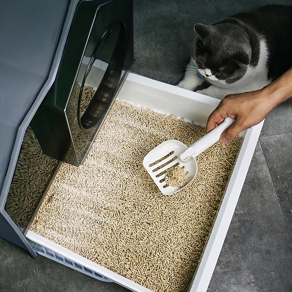 Nhà Vệ Sinh Cho Mèo PAW Nikon Meow Cat Litter Boxes | Pet Mart Cửa Hàng ...